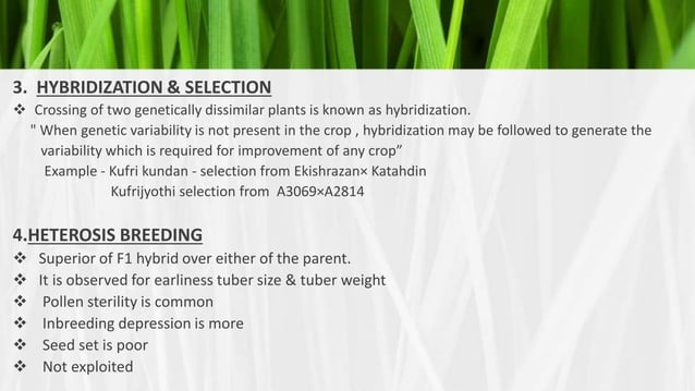 Breeding methods of potato | PPTX | Gardening | Home & Garden