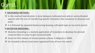 Breeding methods of potato | PPTX