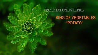 Breeding methods of potato | PPTX