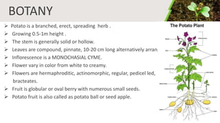 Breeding methods of potato | PPTX