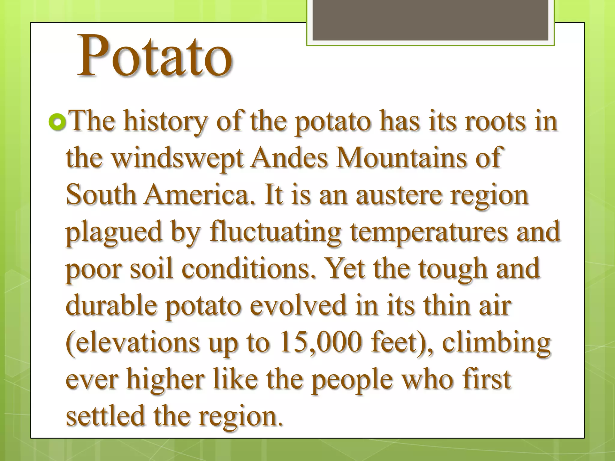 Potato | PPTX