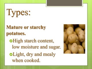 Potato | PPTX
