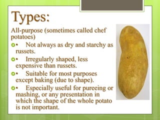 Potato | PPTX