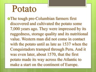 Potato | PPTX | Gardening | Home & Garden