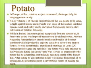 Potato | PPTX