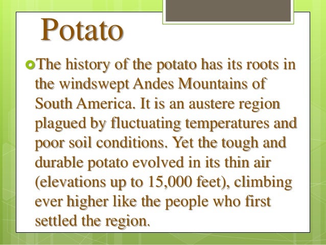 Potato
