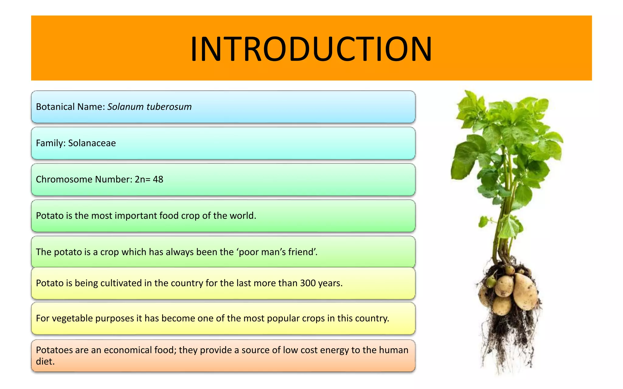 ADVANCES IN THE PRODUCTION TECHNOLOGY OF POTATO | PPTX