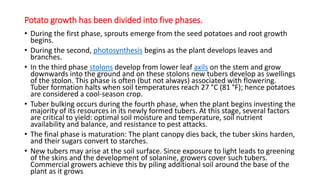 POTATO Food Crop of agriculture is .pptx