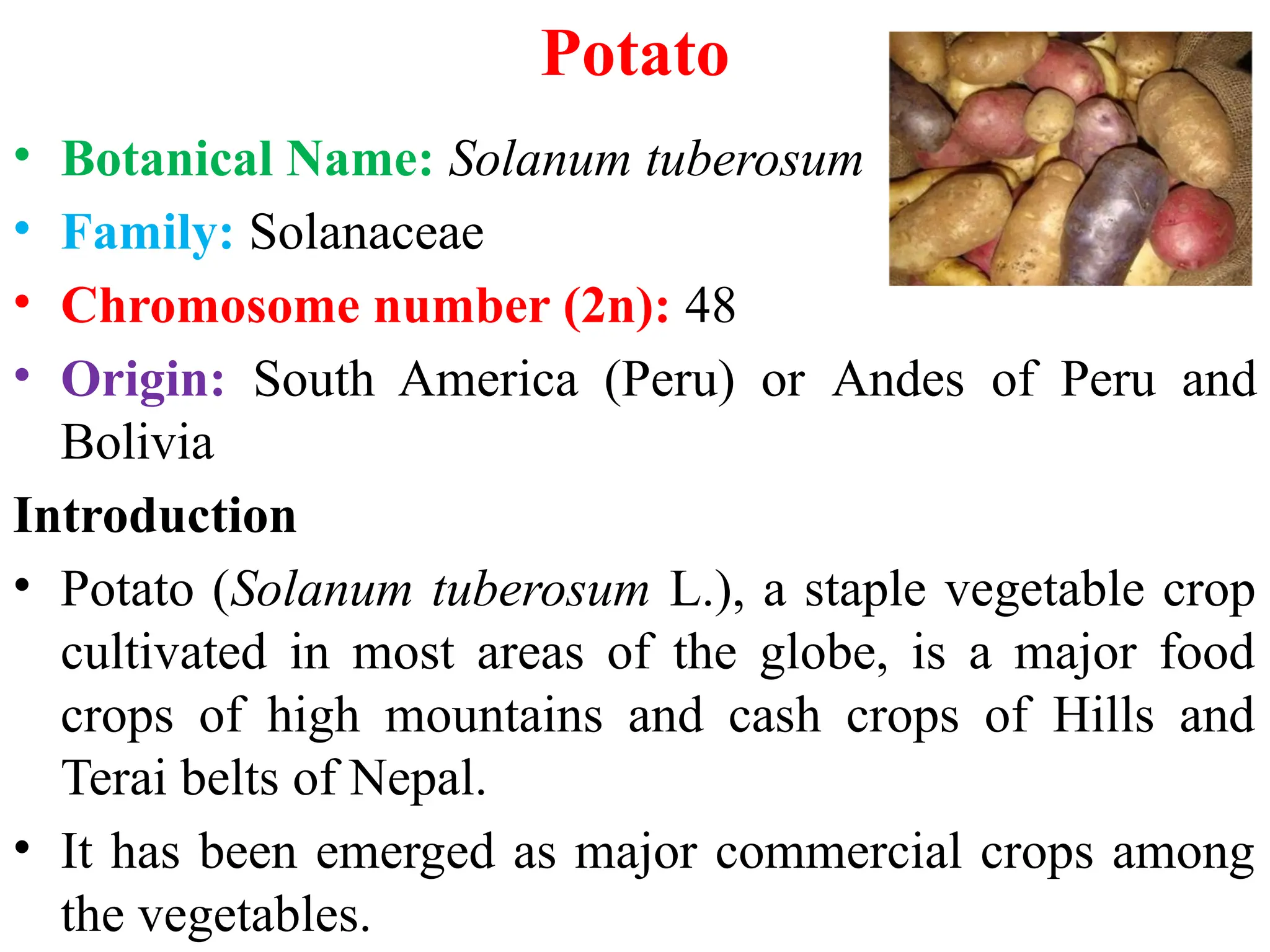 Cultivation practice of Potato in nepal.pptx