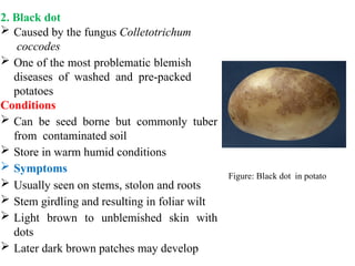 Cultivation practice of Potato in nepal.pptx