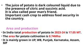 Potato ppt , potato vegetable presentation free , potata presentation ...