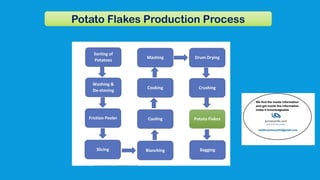 Potato flakes | PDF