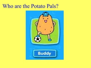Potato Pals Introduction | PPT