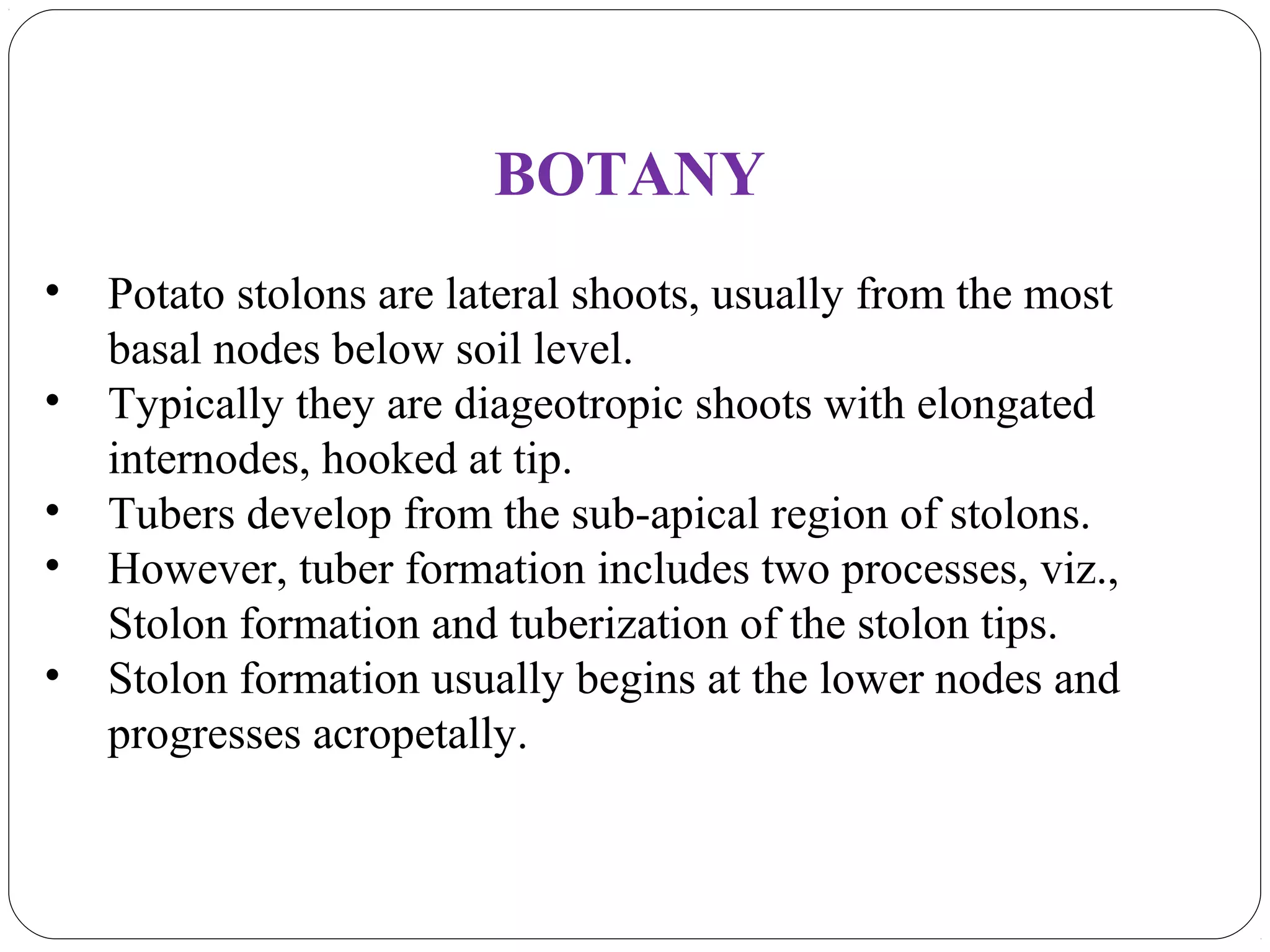 Potato breeding | PPT