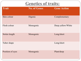 Potato breeding | PPT