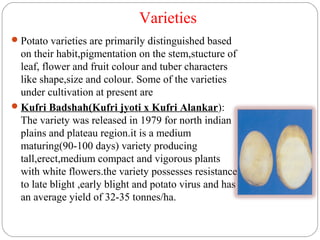 Potato breeding | PPT