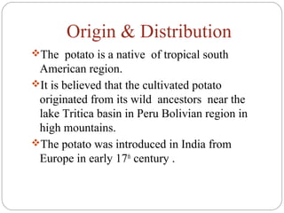 Potato breeding | PPT