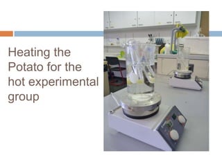 Potato catalase pictures | PPTX | Chemistry | Science