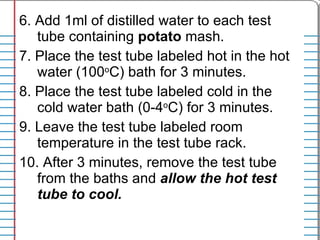 Potato catalse lab | PPT