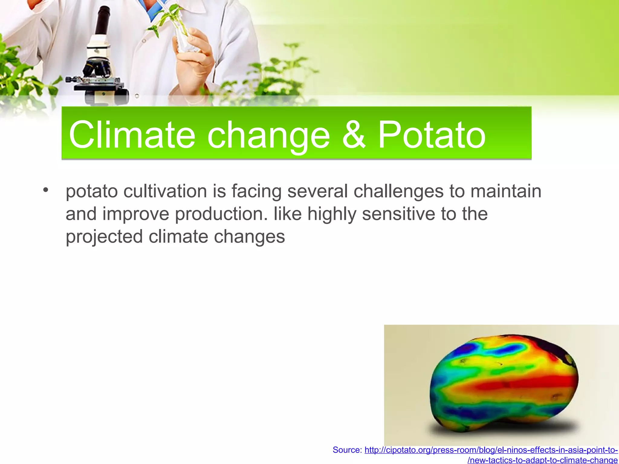 Potato & climate change | PPT