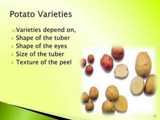 Potato cultivation | PPTX