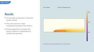 potato_drying (1).pptx