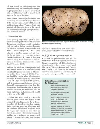 Potatoes: Organic Production and Marketing | PDF | Agriculture | Industries