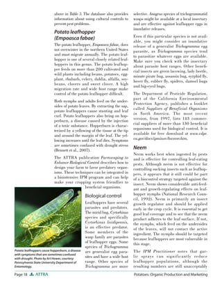 Potatoes: Organic Production and Marketing | PDF