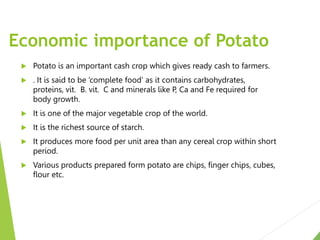 Potatoes.pptx