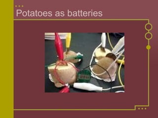 Potatoes | PPT