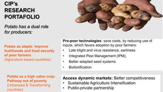 Potatoes to improve sustainable global food security: Presentation at ...