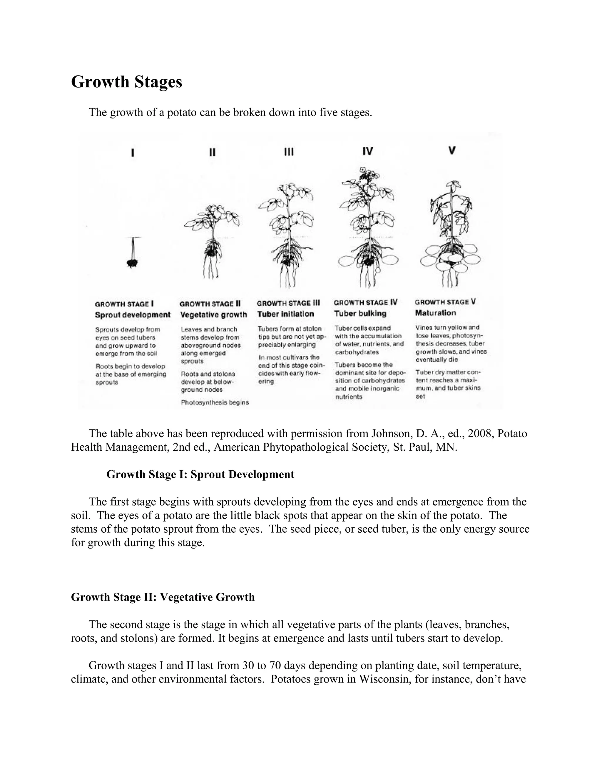 Potato growth stages | DOC