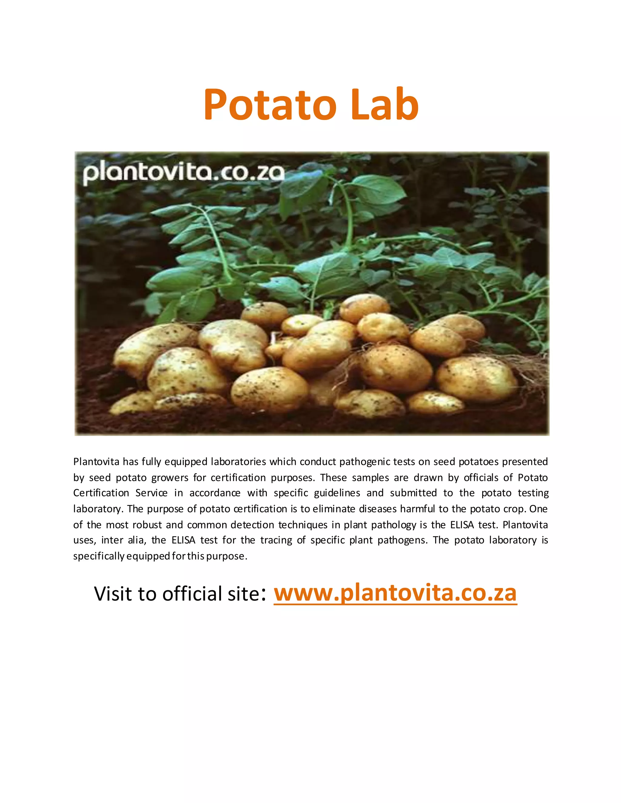 Potato lab | DOCX
