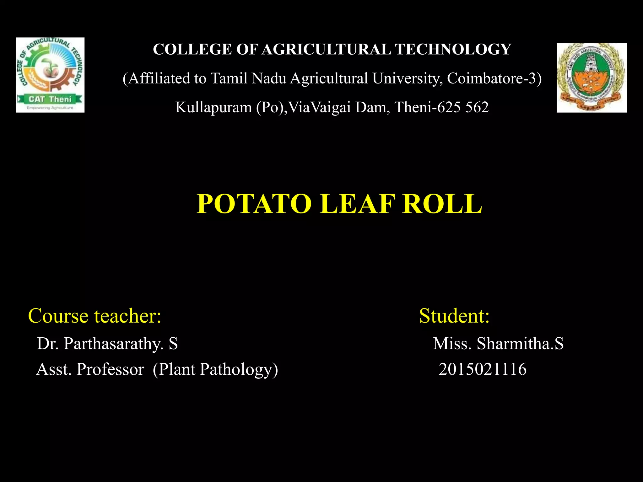 Potato leaf roll | PPTX