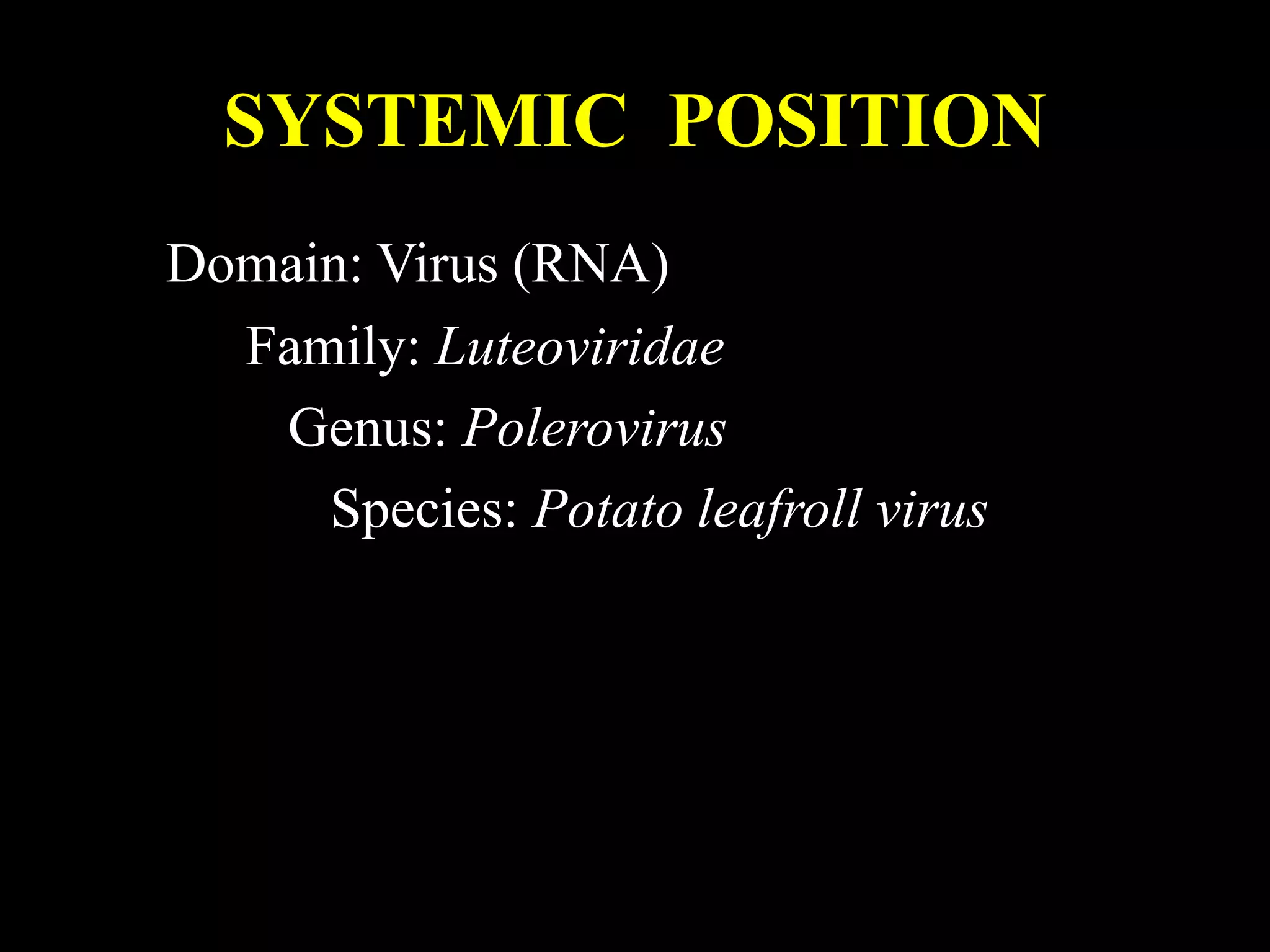 Potato leaf roll | PPTX | Gardening | Home & Garden