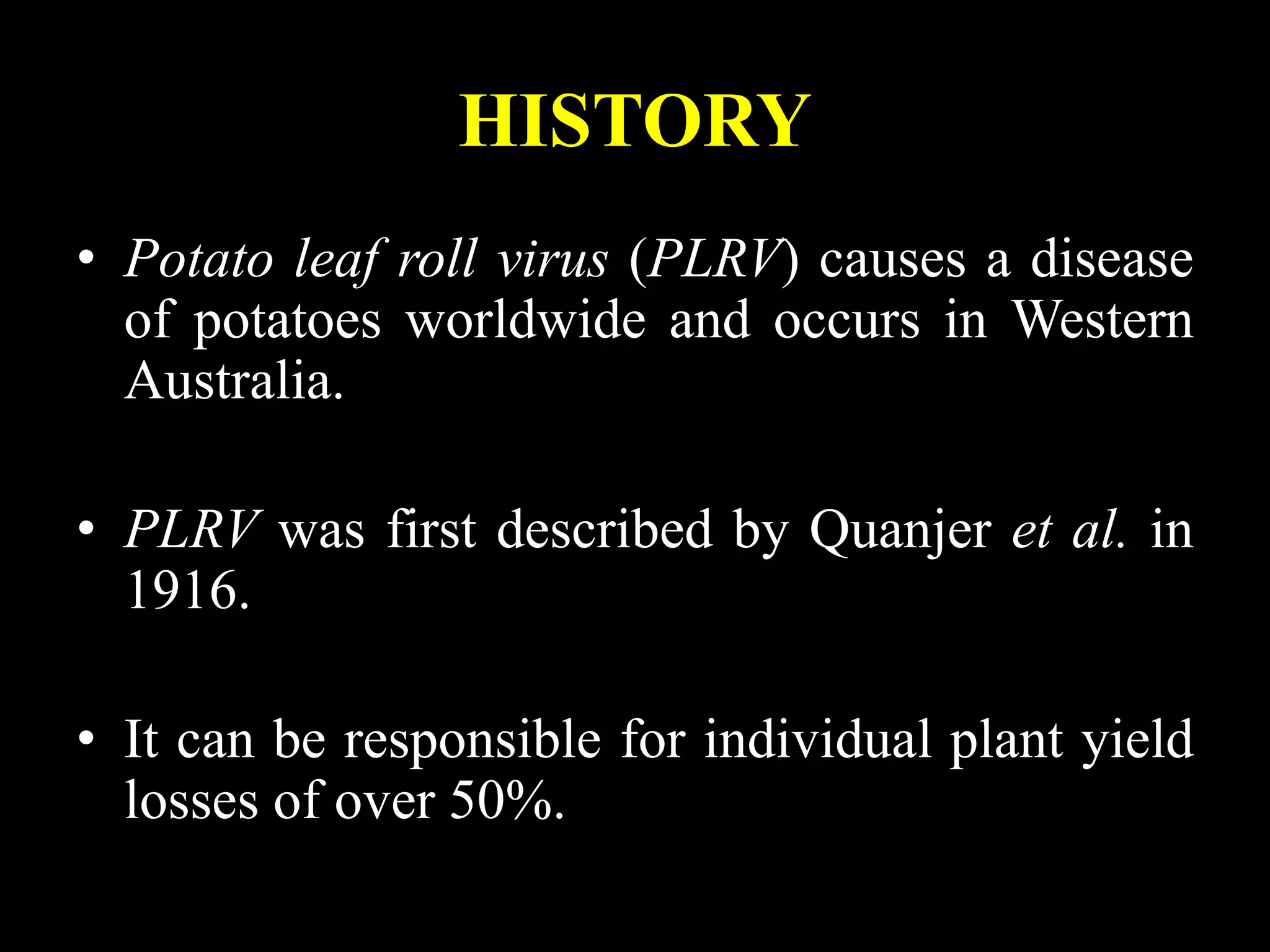 Potato leaf roll | PPTX