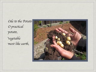 Potato mashup--A fun little "Mash Up" idea for a poetry unit | PDF