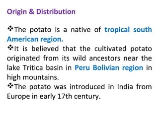 Potato and sweet potato | PPT