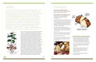 POTATO NUTRITION HANDBOOK.pdf