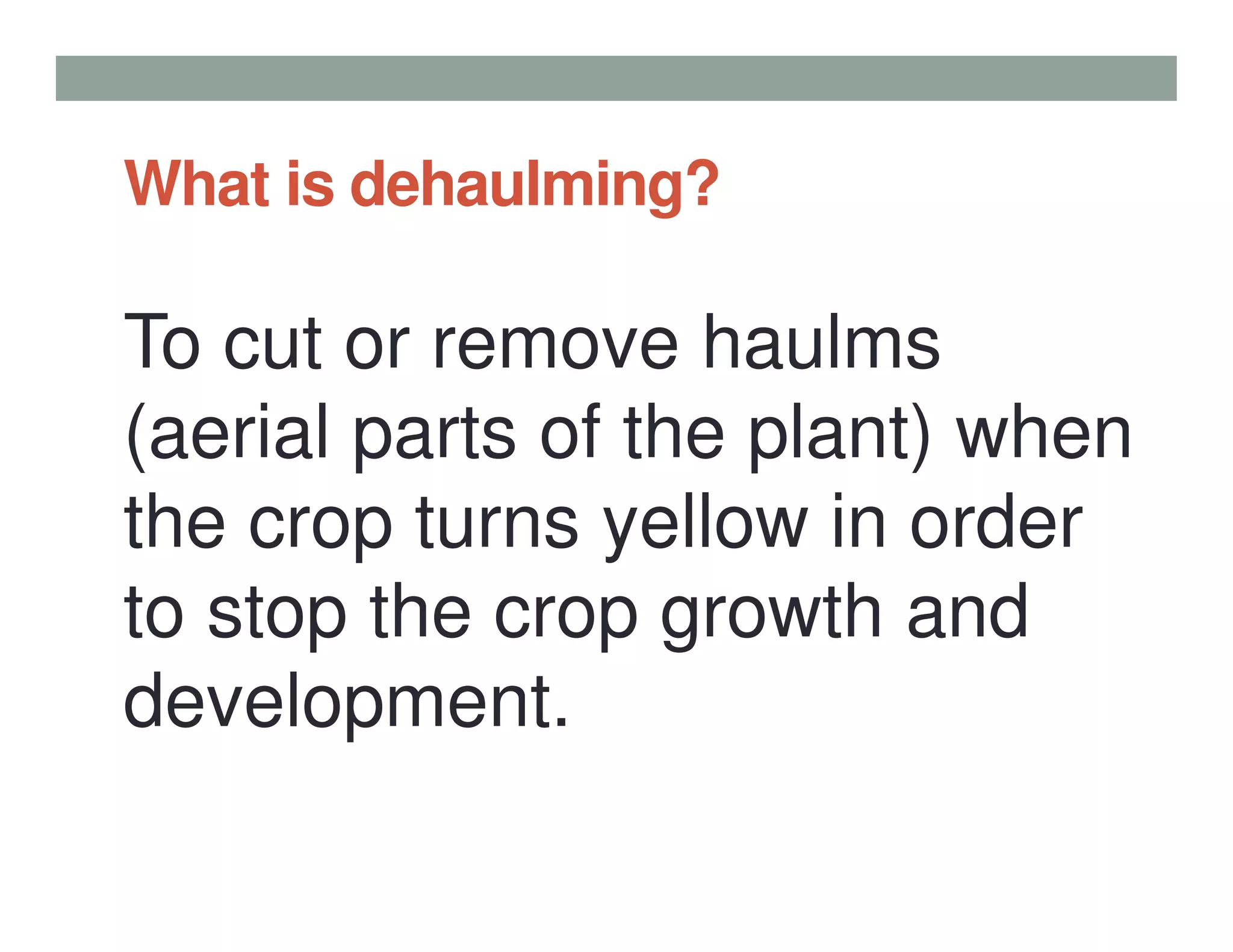 Potato post maturity management | PDF