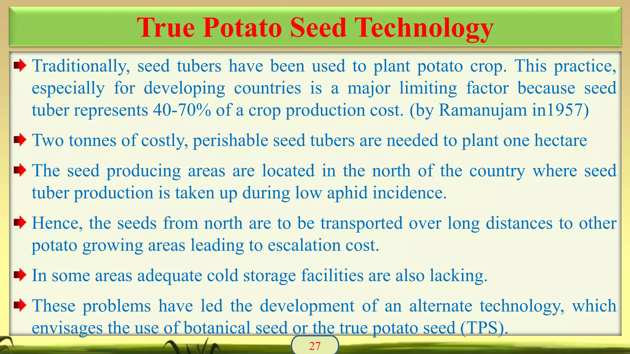 Potato ppt | PDF