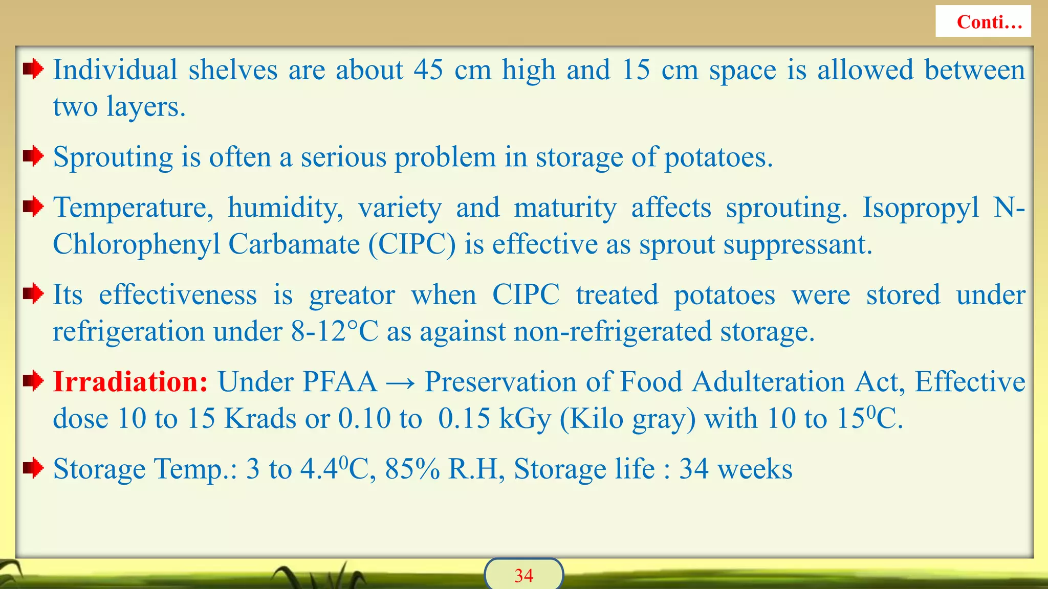Potato ppt | PDF