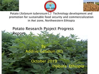 Potato research project progress report | PDF