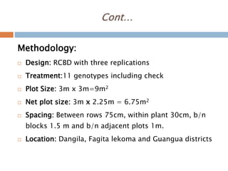Potato research project progress report | PDF