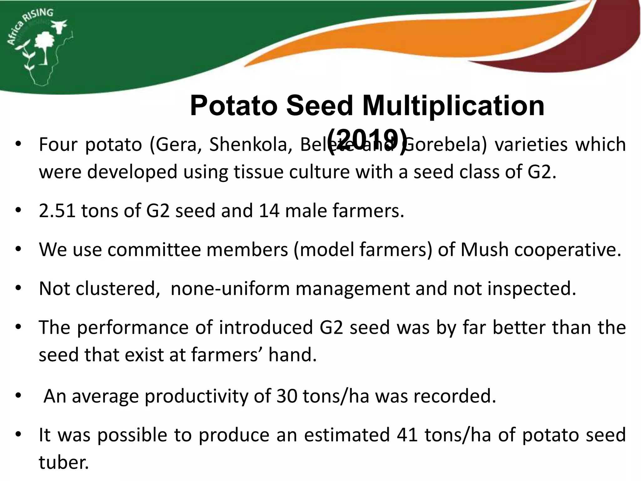 Potato seed multiplication 2021 | PPT
