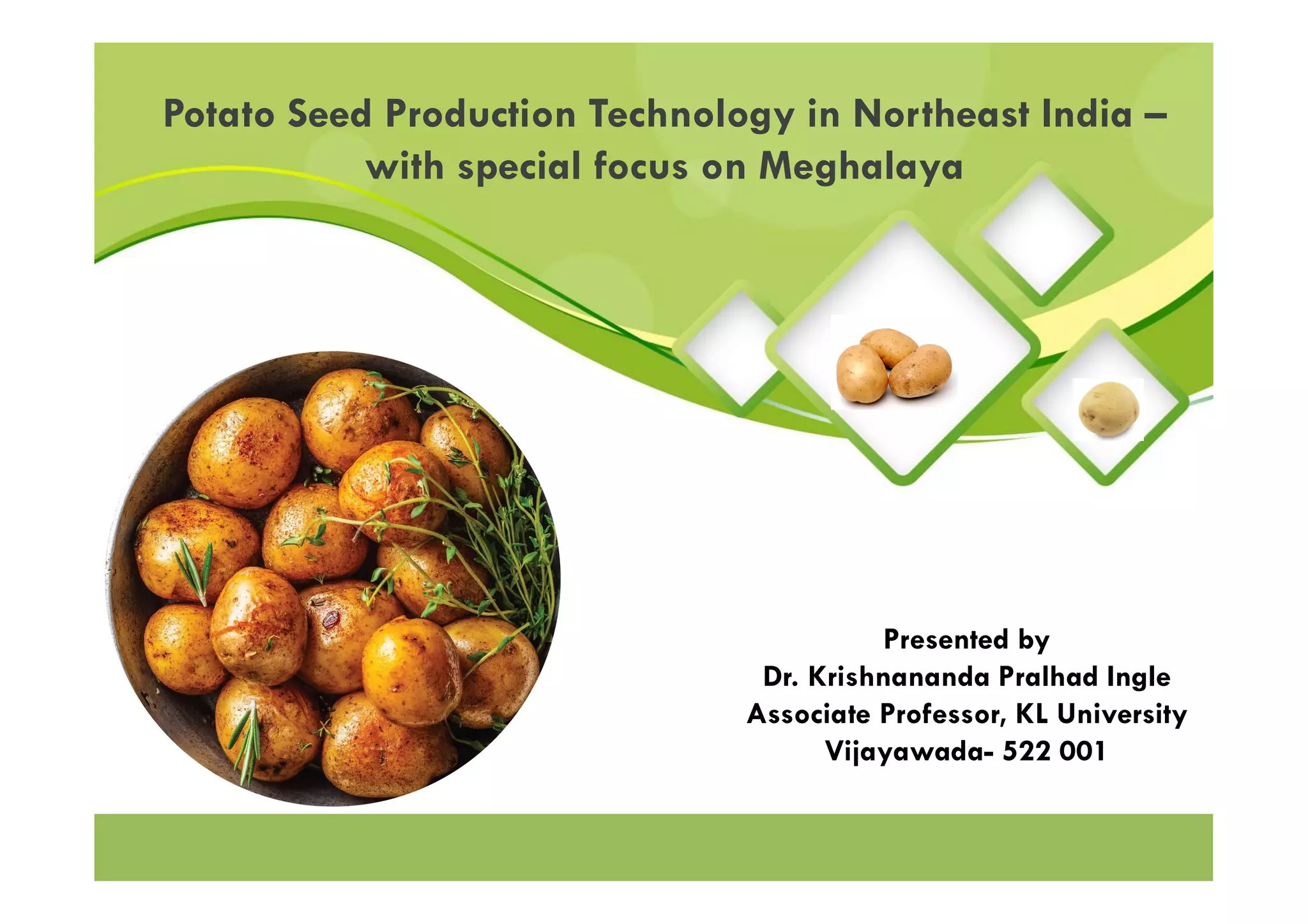 Potato seed production systems | PDF