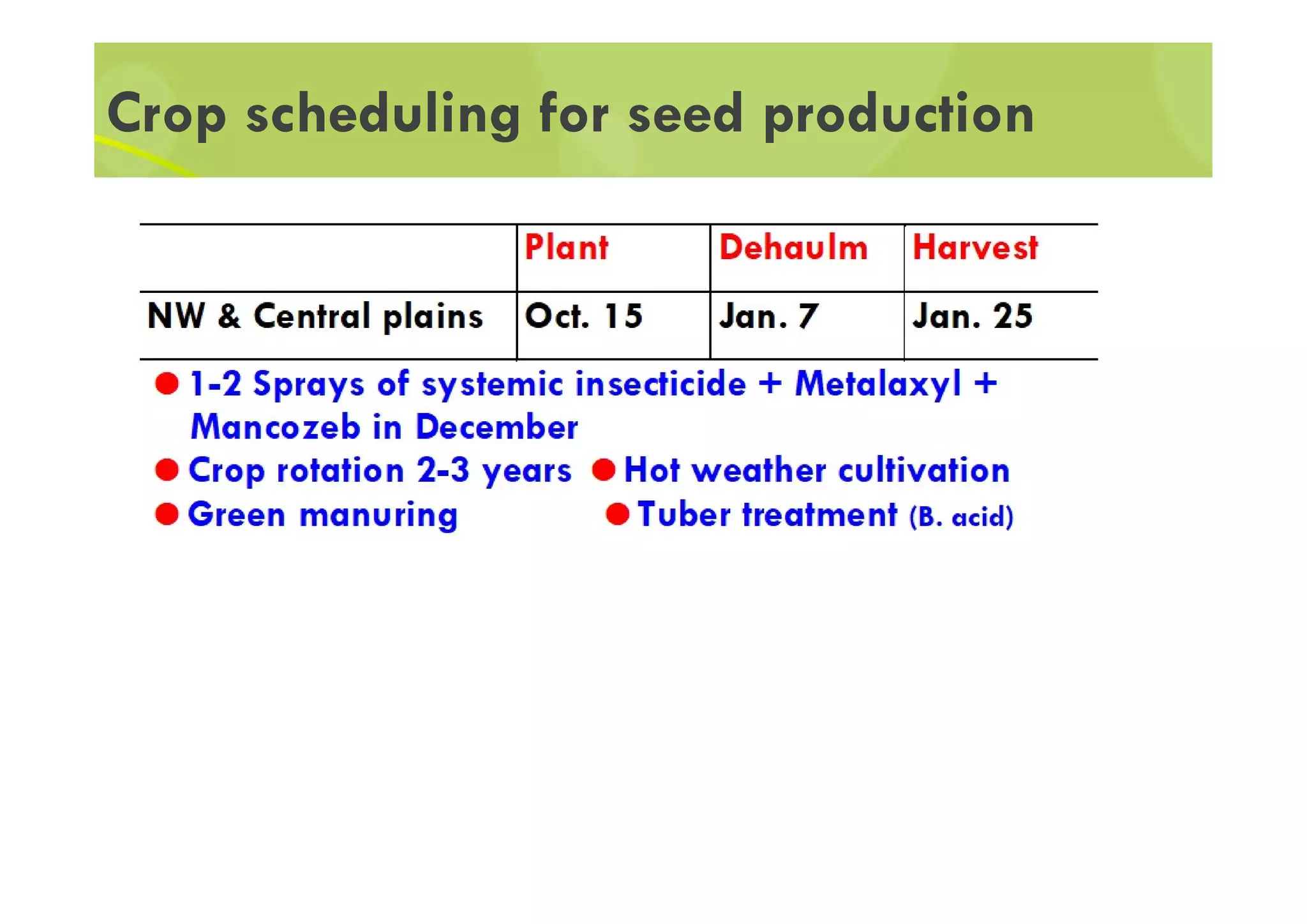 Potato seed production systems | PDF
