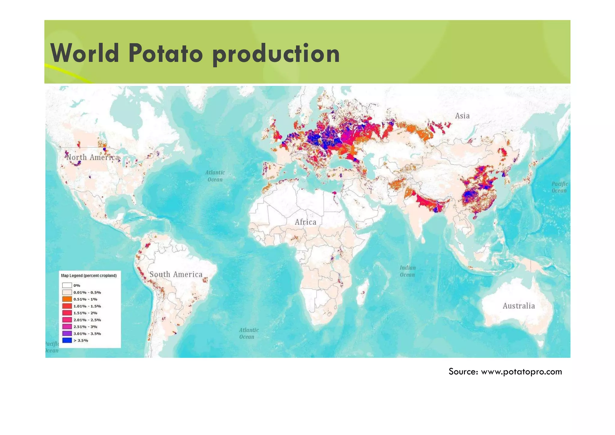 Potato seed production systems | PDF