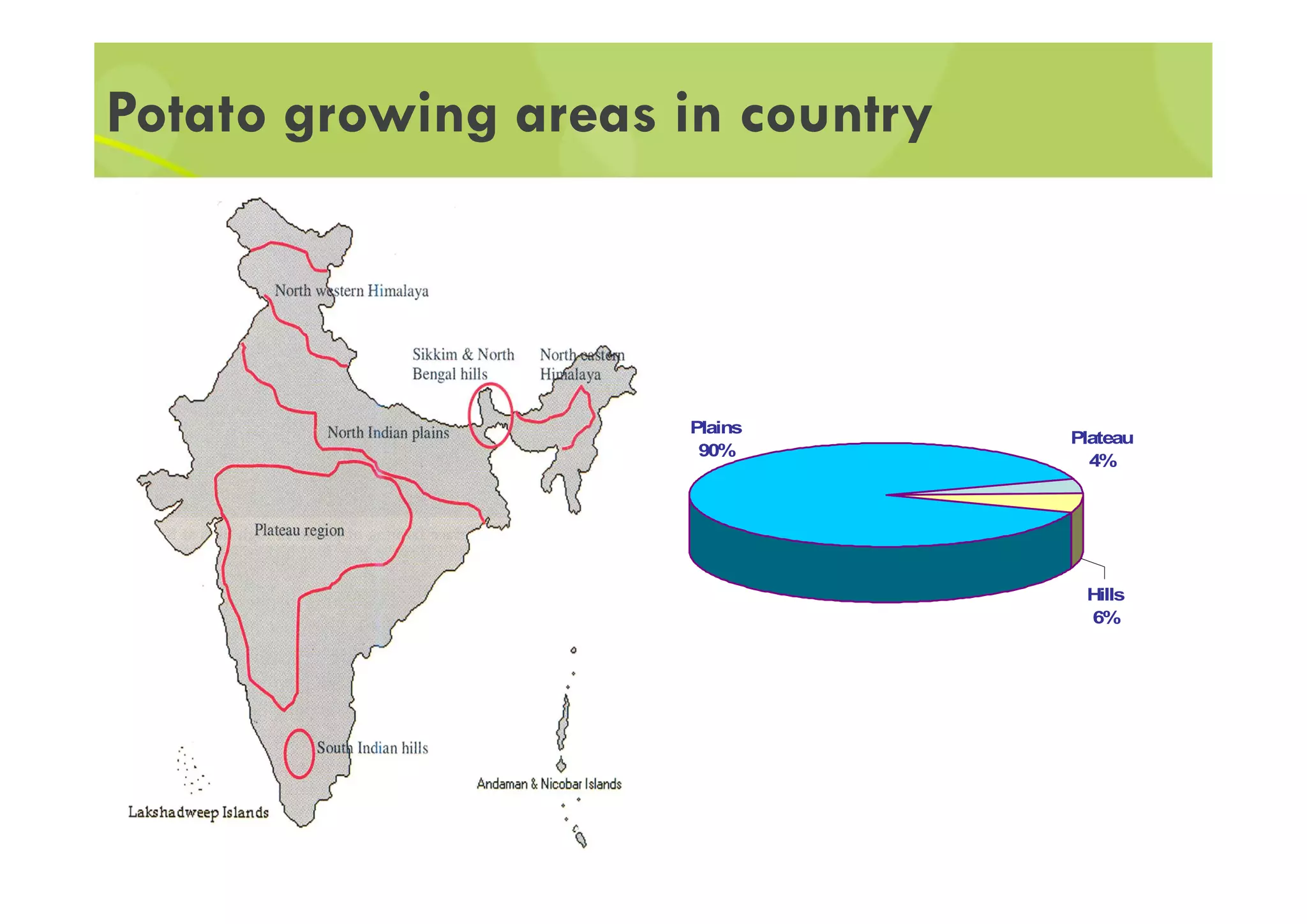 Potato seed production systems | PDF