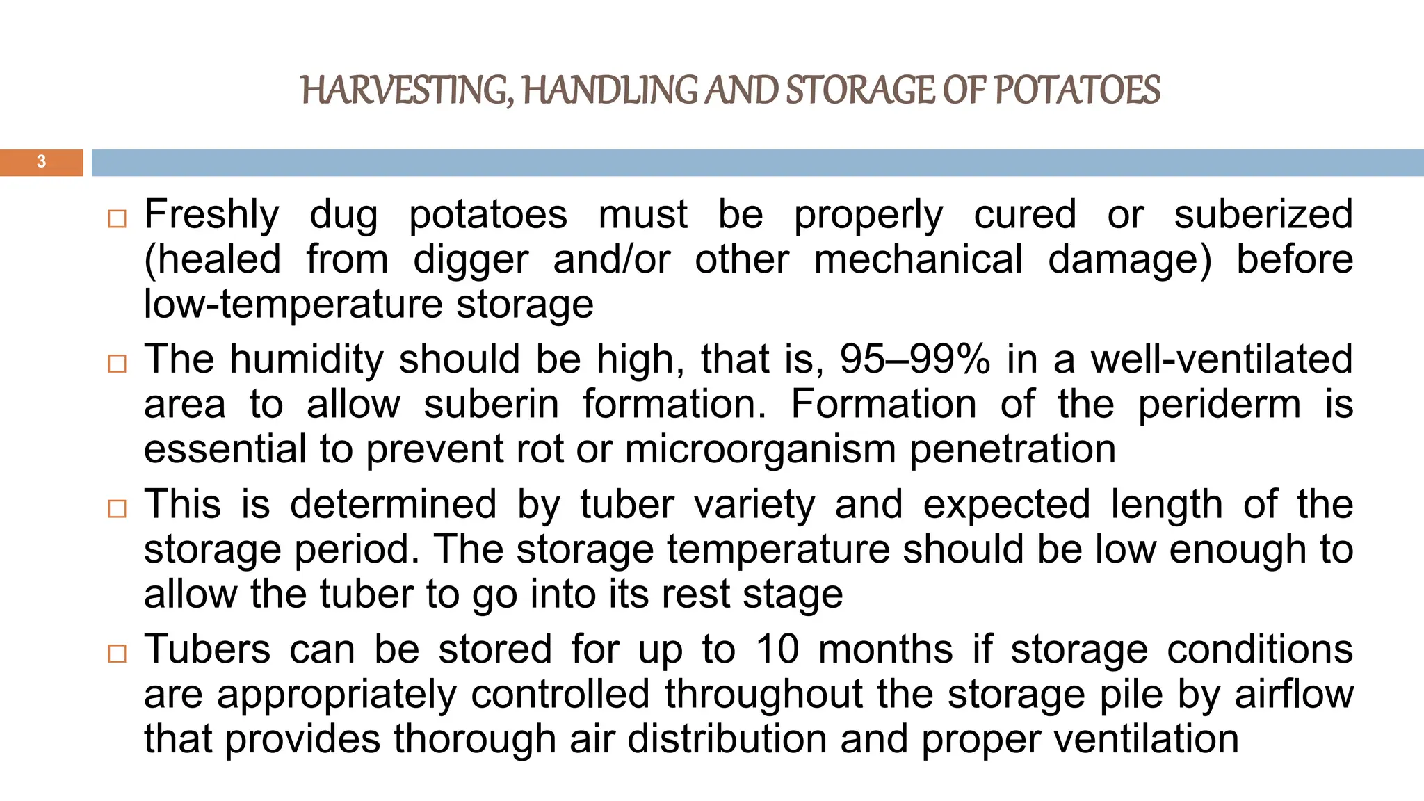 POTATO SNACKS MANUFACTURING | PPTX